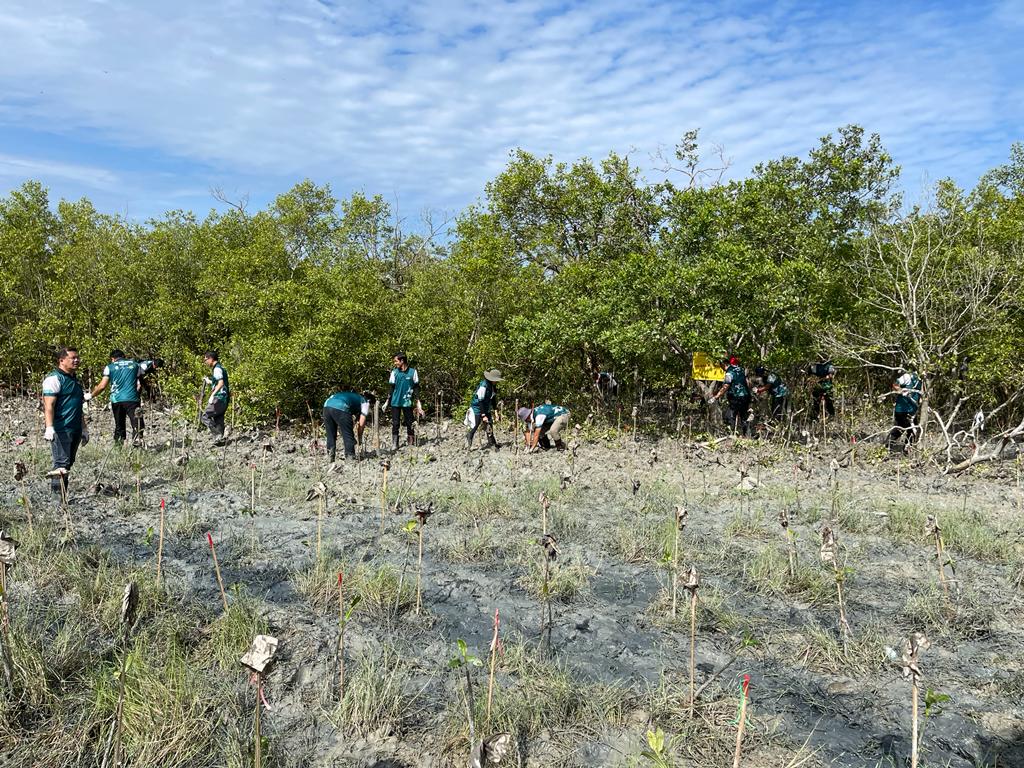 KDEB Waste Management - PROGRAM PENANAMAN 500 POKOK BAKAU DI HUTAN ...